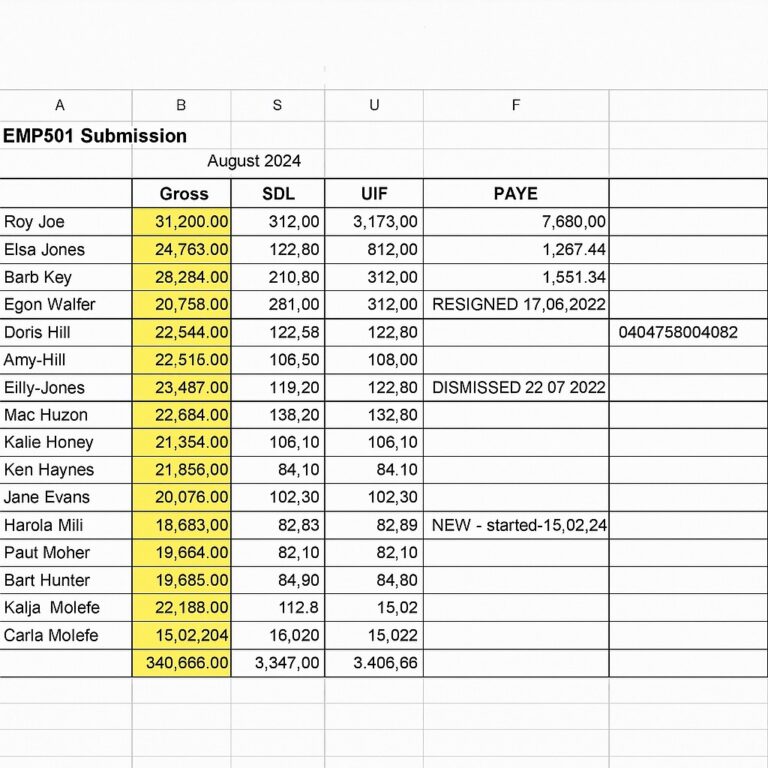 EMP501 Submission in EasyFile V7 – No Payroll Software Needed Mid-Year Guide for Small ...